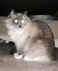 Mcrowley | United States of America Service Academy Forums